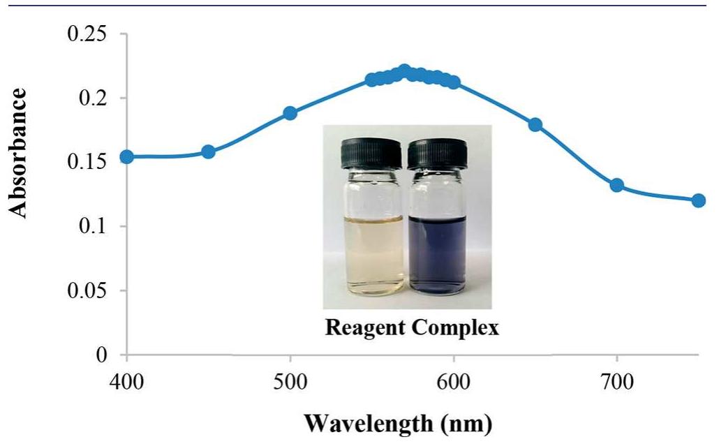 In this traditional experiment, an indian gooseberry aqueous