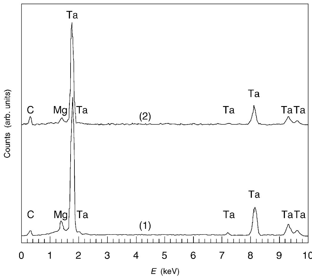 Edx spectra of the surface of an individual grain (1) of the