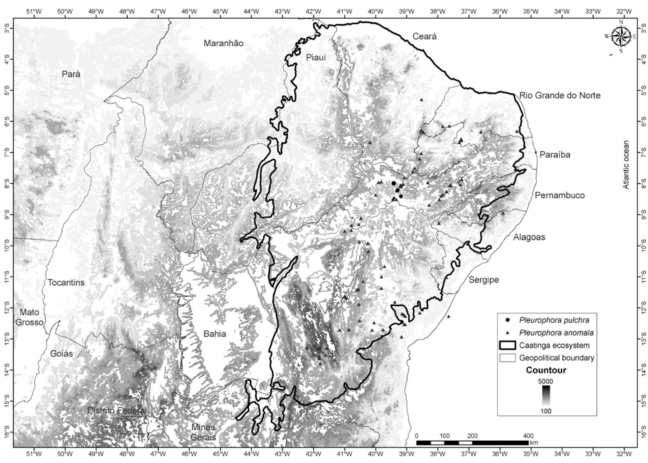 Fic. 4. distribution of pleurophora anomala and p. pulchra