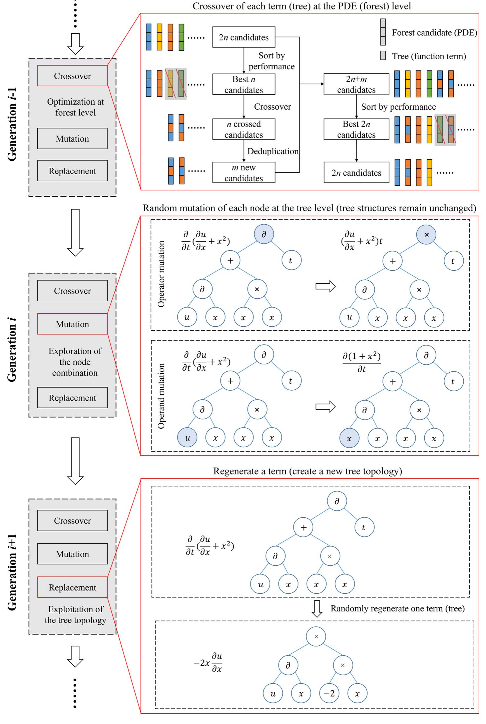 Schematic diagram of the genetic algorithm for the tree