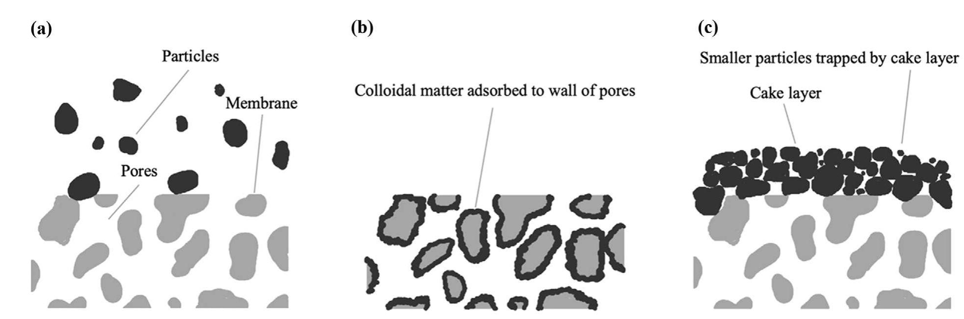 Schematic diagram of filtration mechanisms and cake
