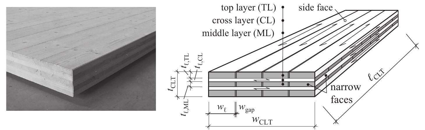 Example of five-layer cross laminated timber (clt) element: