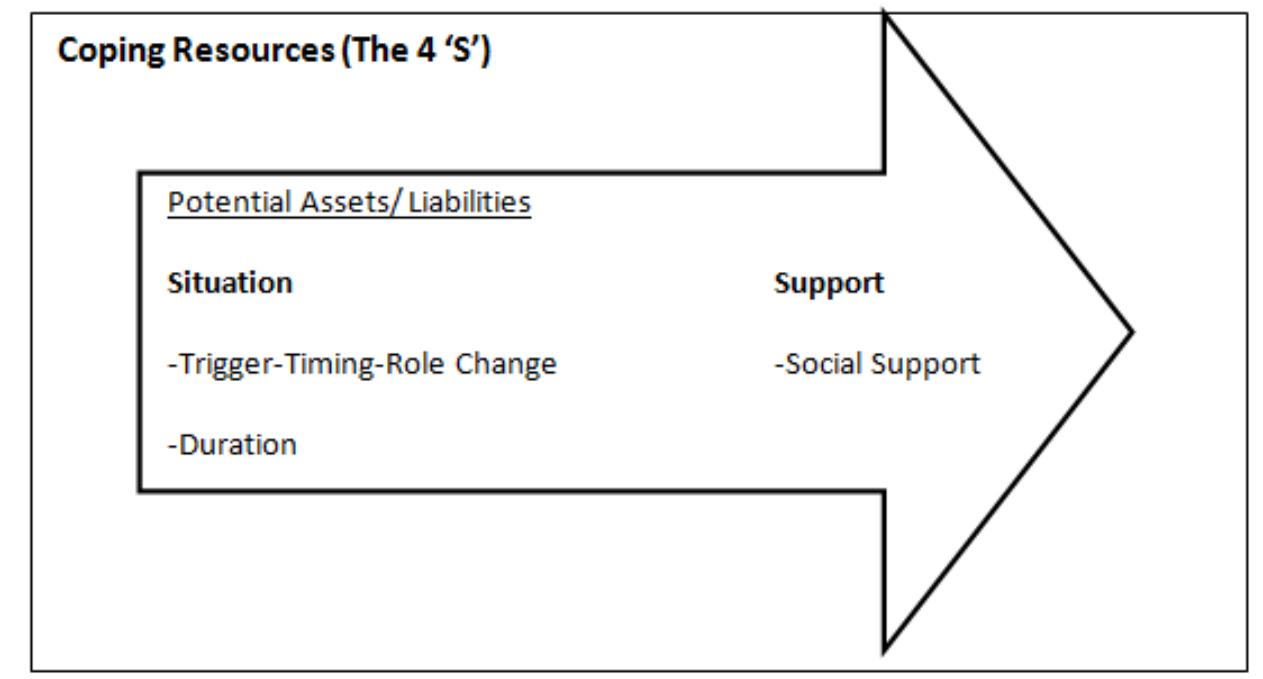 The transition process (adapted from anderson, goodman