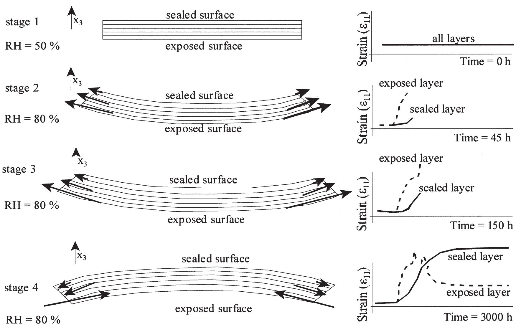 Fic. 10. stages in warp development as a function of rh
