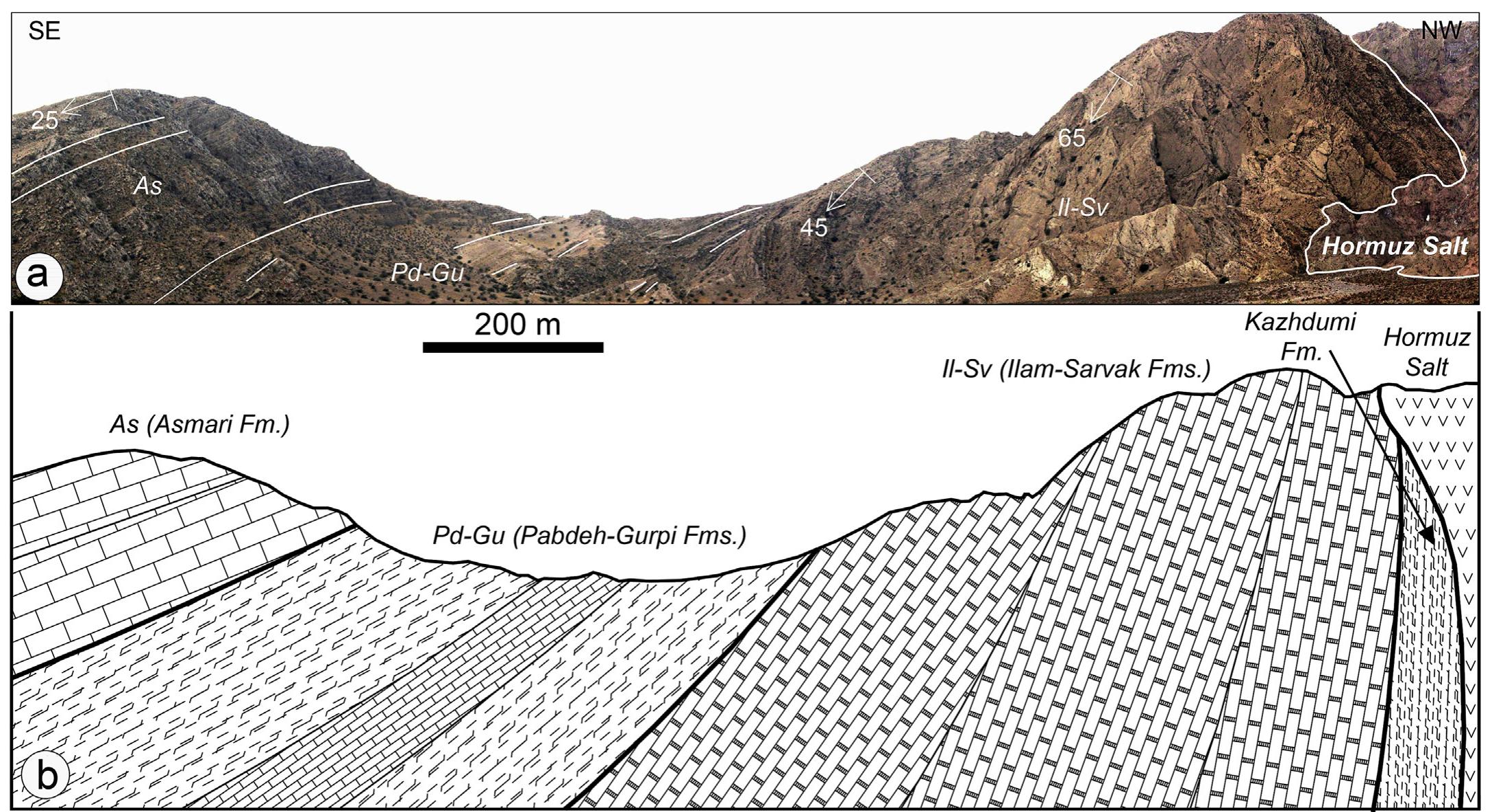 (a) photograph showing growth strata geometries in the