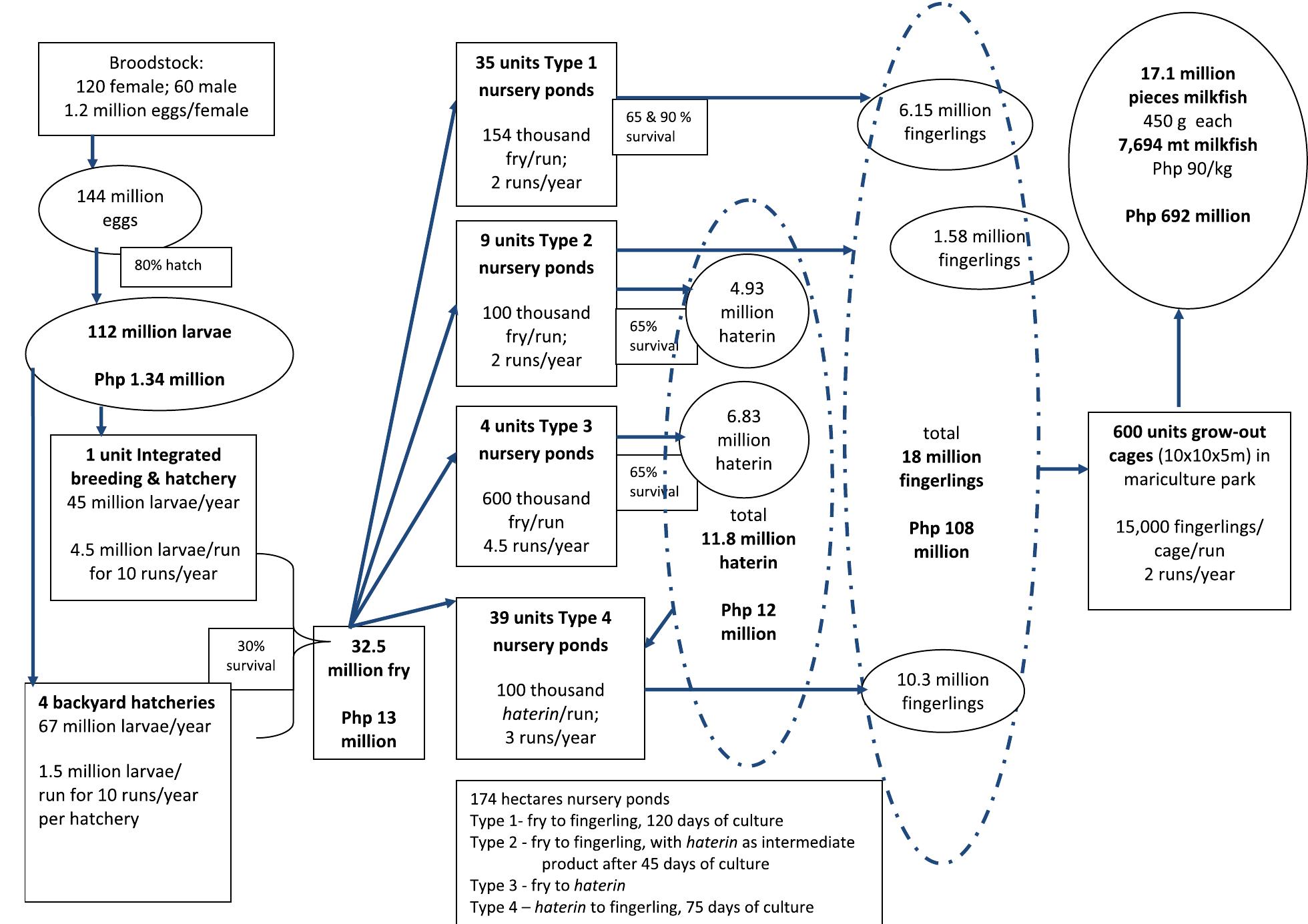 Value chain of the upstream stages of the milkfish