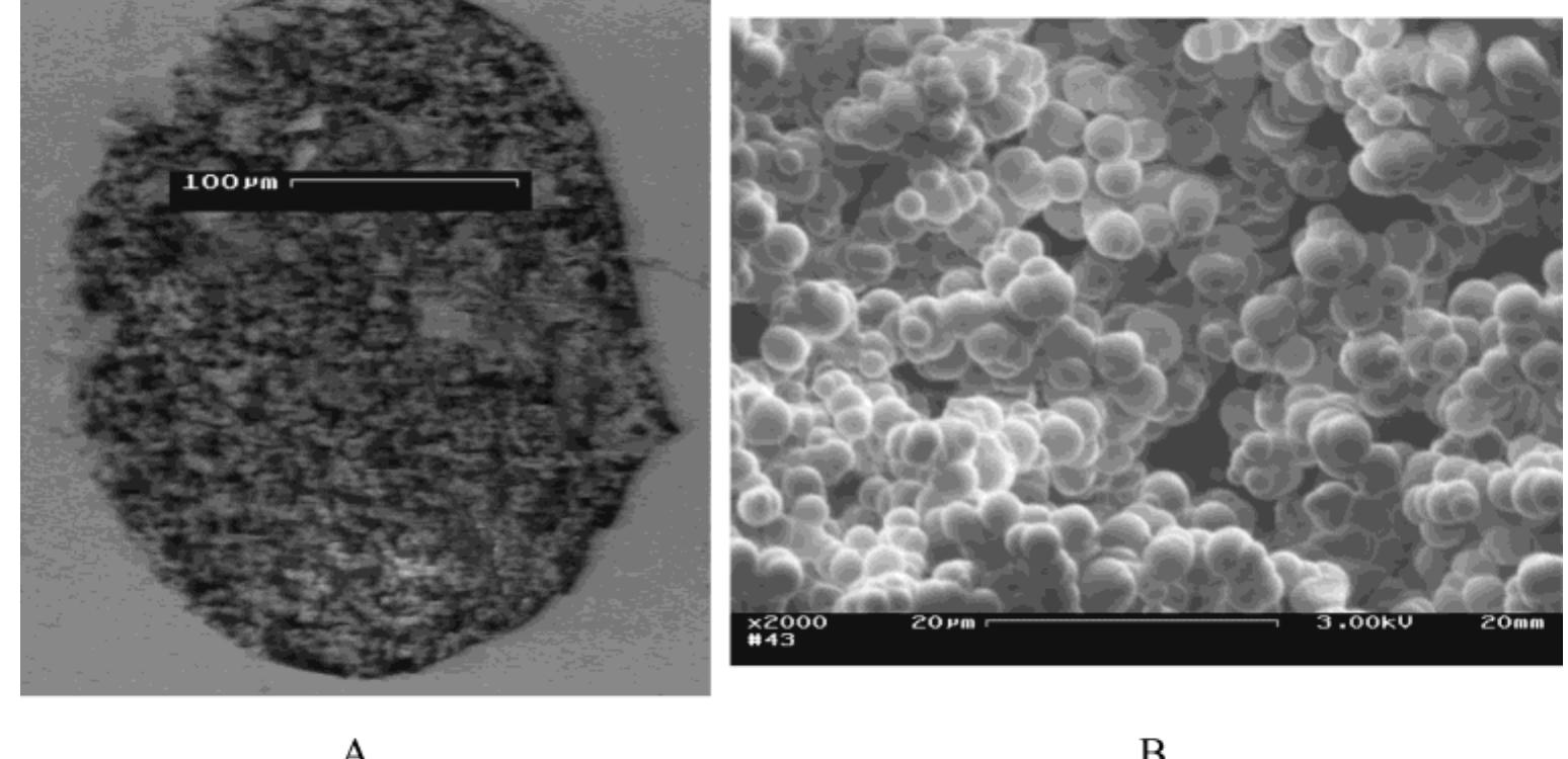 (a) sem image showing the cross section of monolithic column