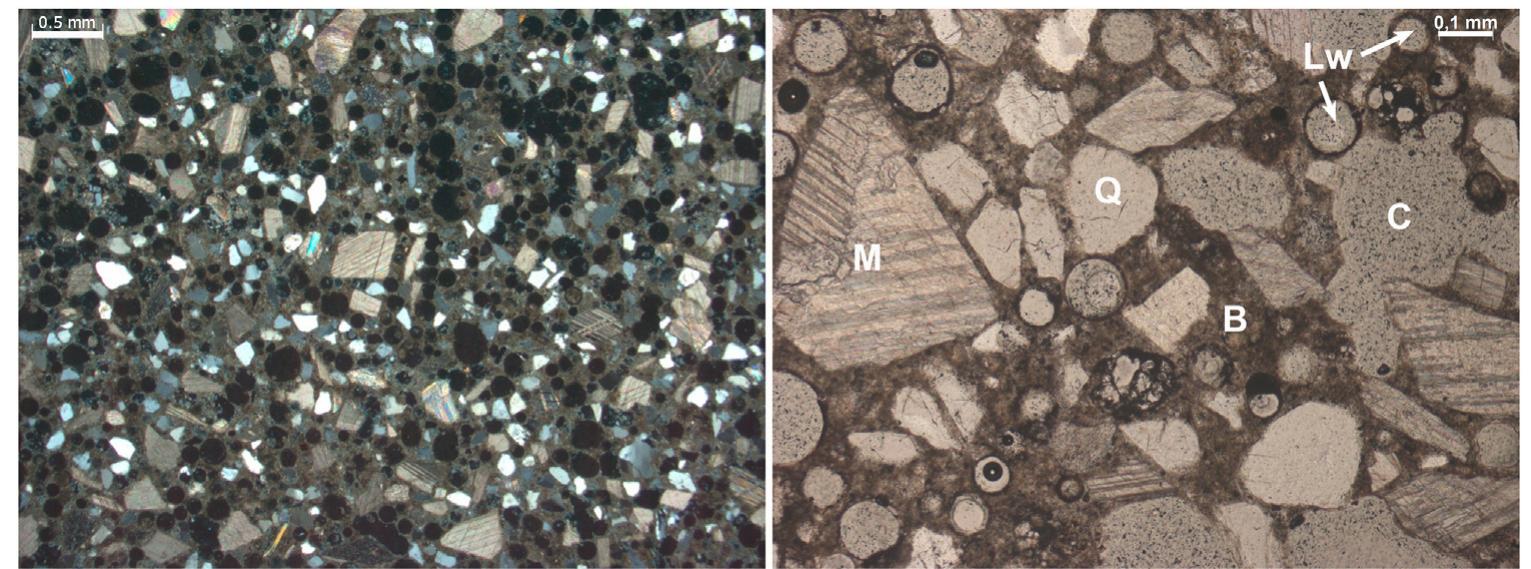 Left: microphotograph with an overview of the microstructure
