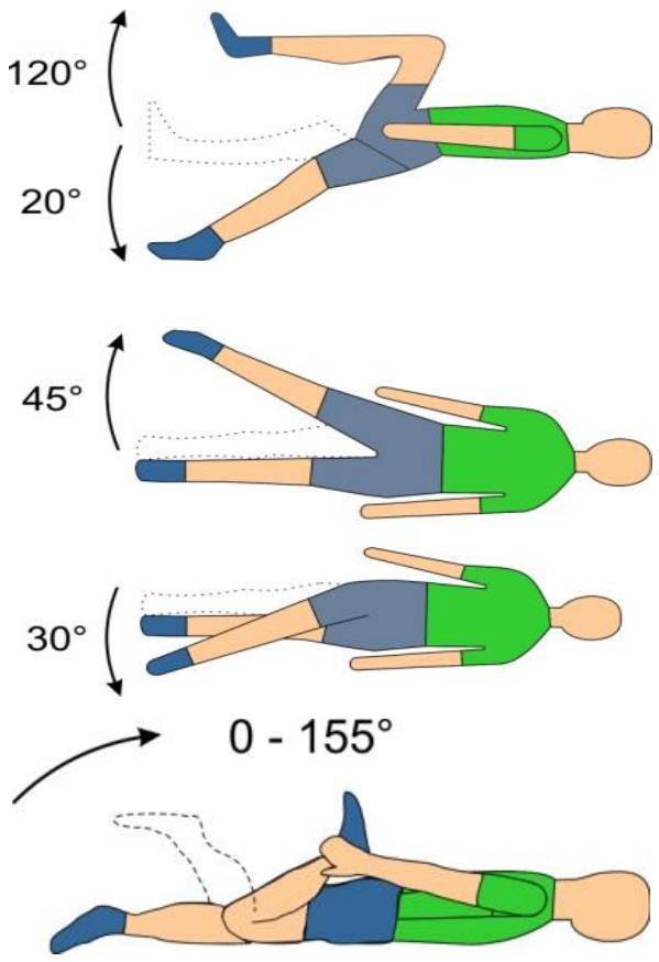 Basic movements of hip and knee and range of motion