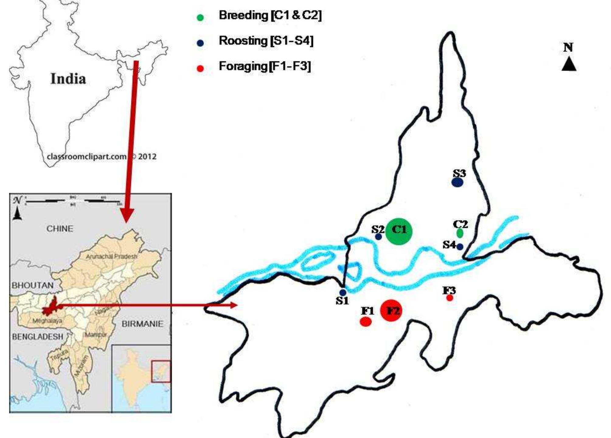 Study area: map of the kamrup district, locator map of india