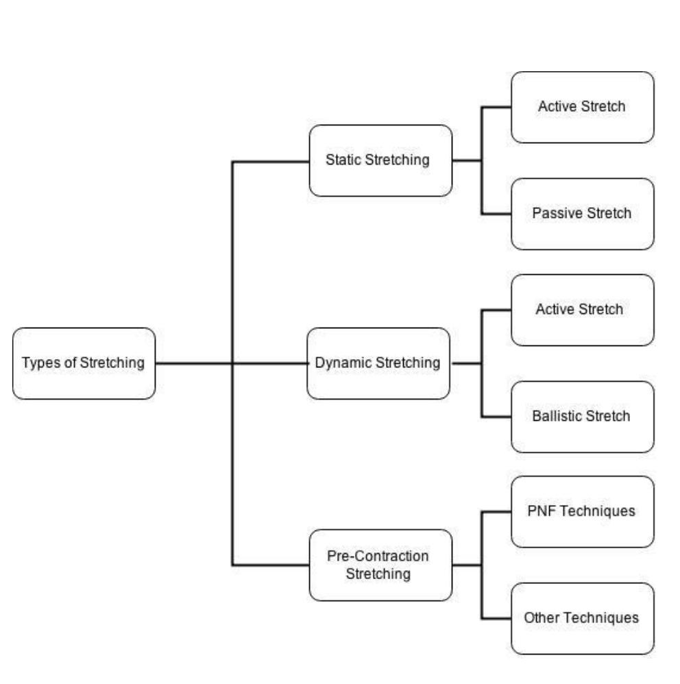 Diagram one: different types of stretching (page, 2012).