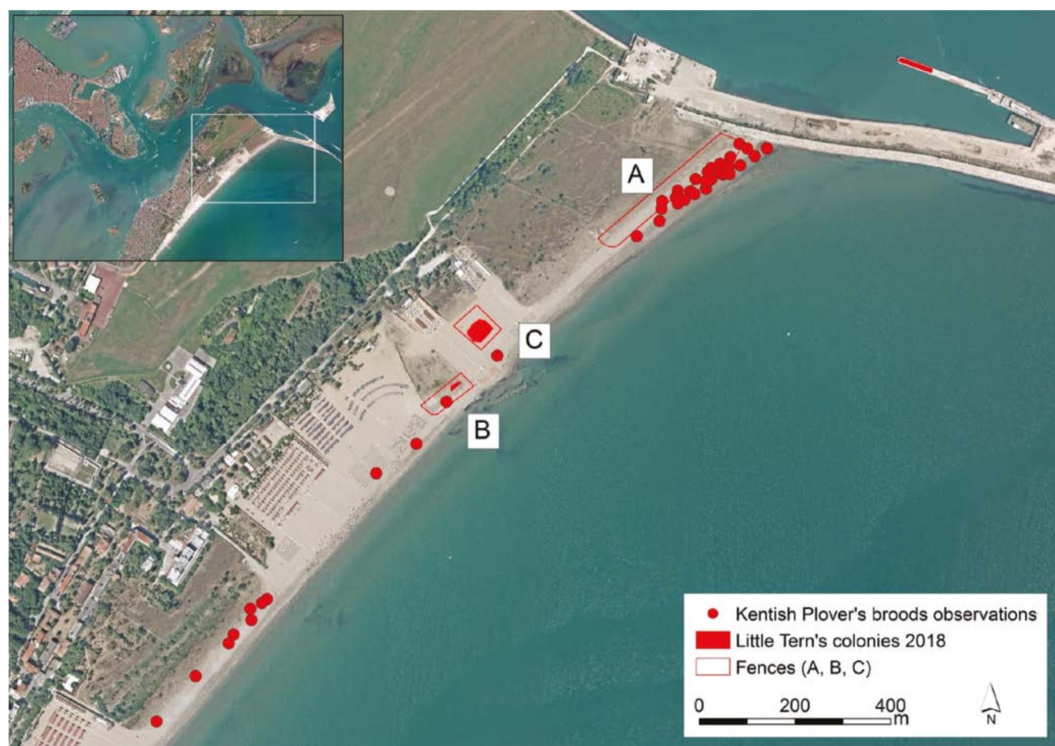 G.1 - position of enclosures (a, b, c) and of little tern