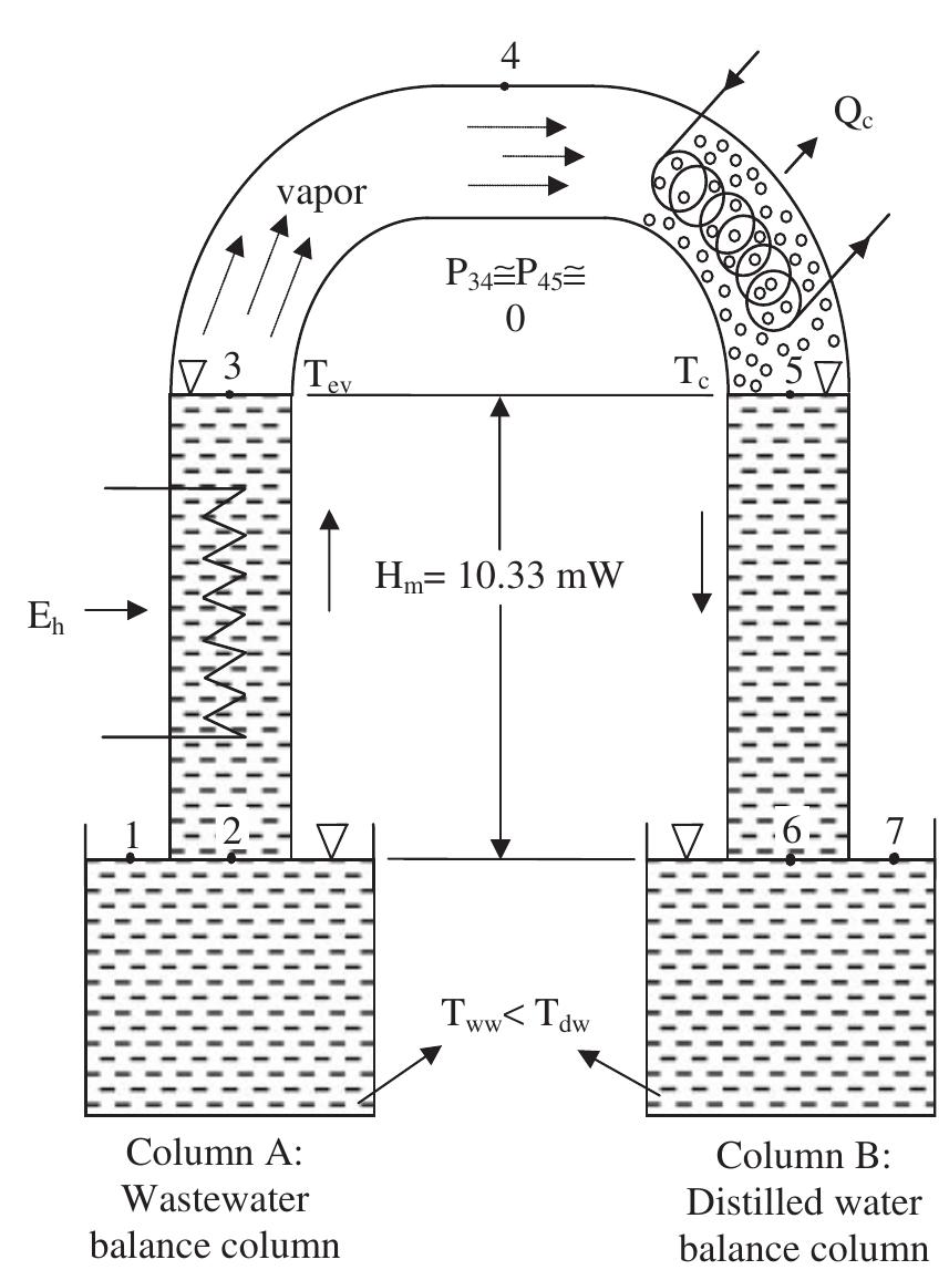Theoretical model of nvd system with free mass convection.