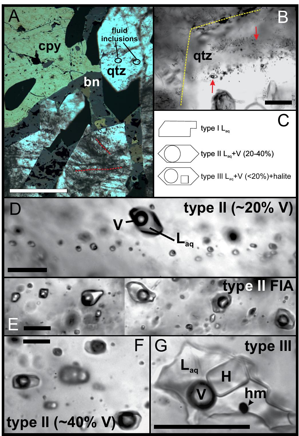 Fluid inclusion petrographic characteristics from the mmh