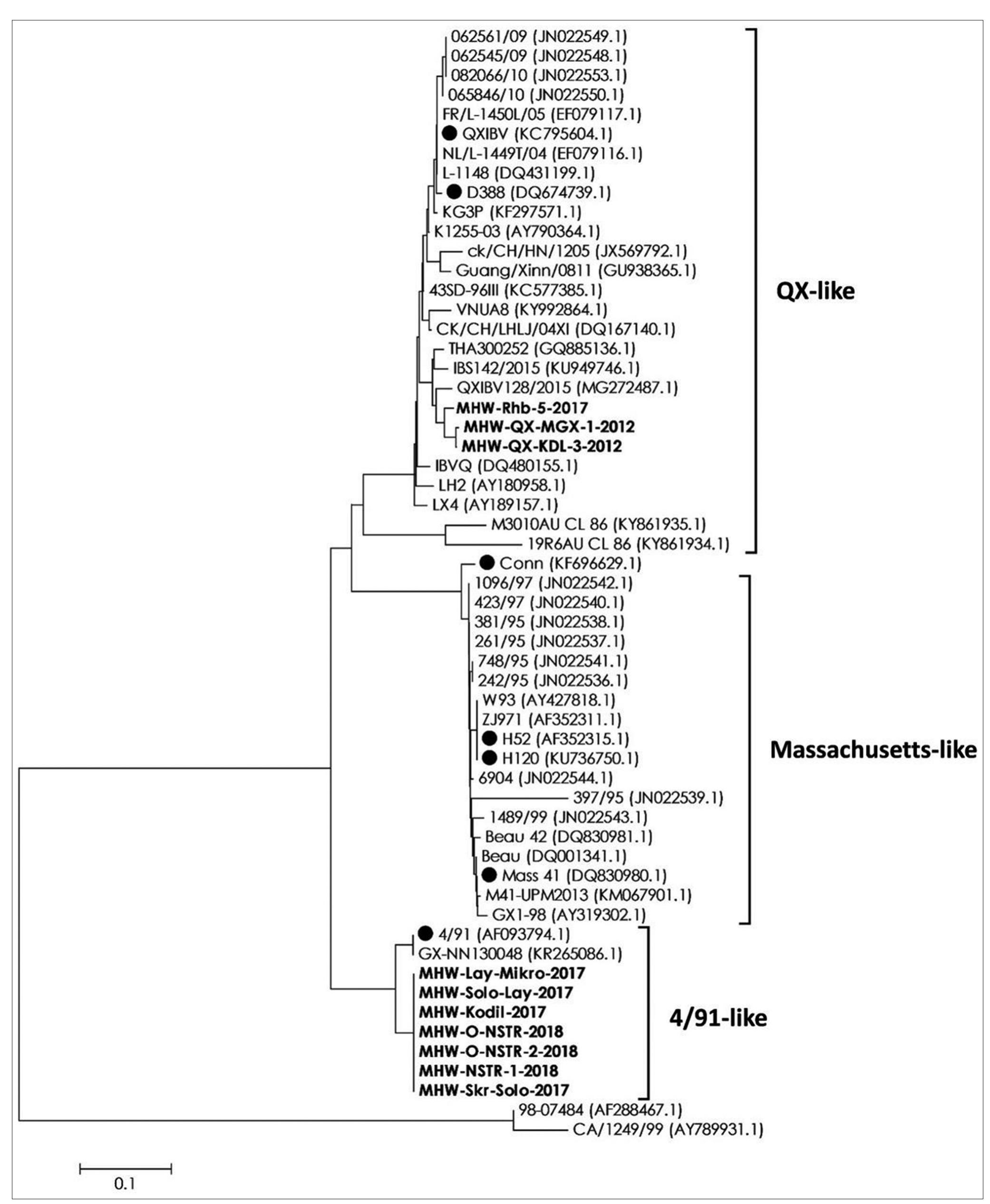 -3: phylogenetic analysis of s1 gene. sequence alignment of