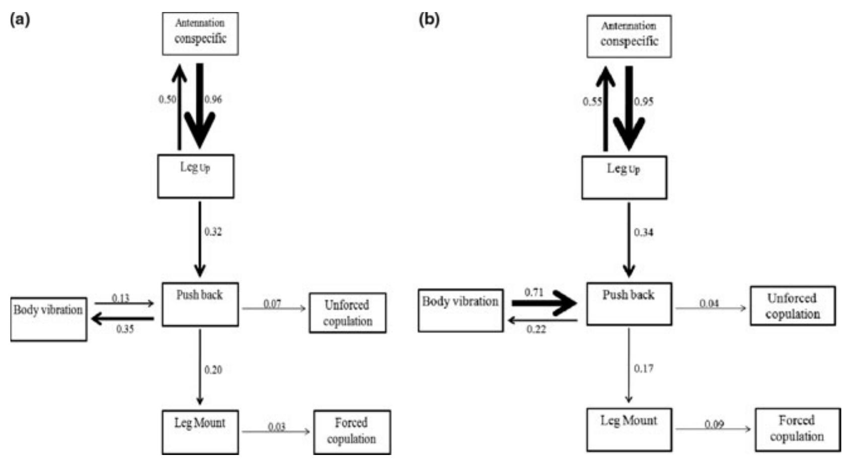 Kinematic diagram showing male mating behaviors when paired