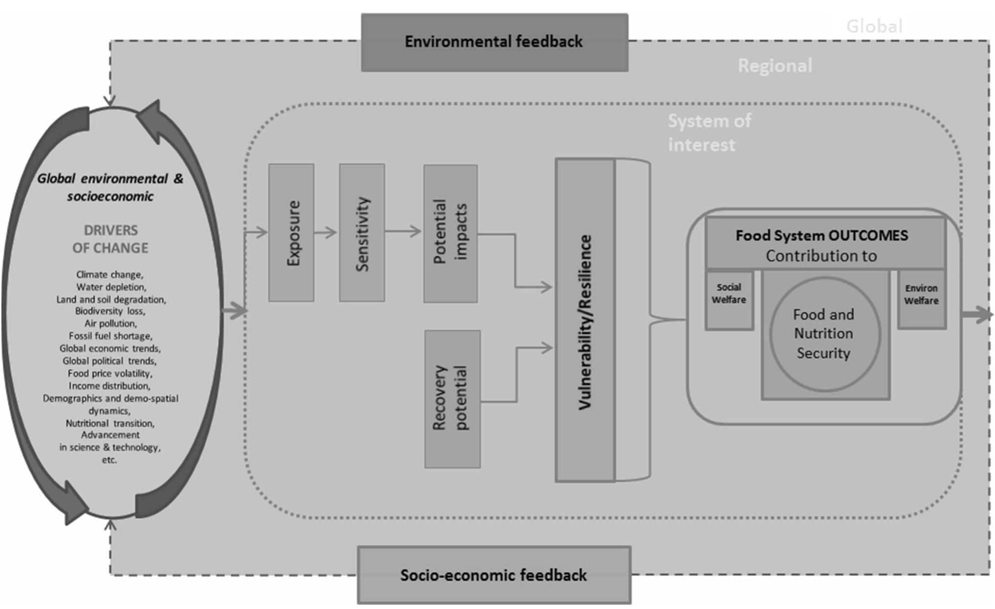 A sustainable food system framework (adapted from turner et