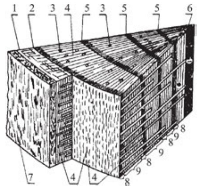 Figure 13 - from Paper: History, production, properties and