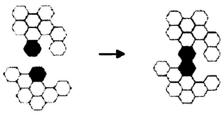 A concatenation of two honeycomb graphs given two honeycomb
