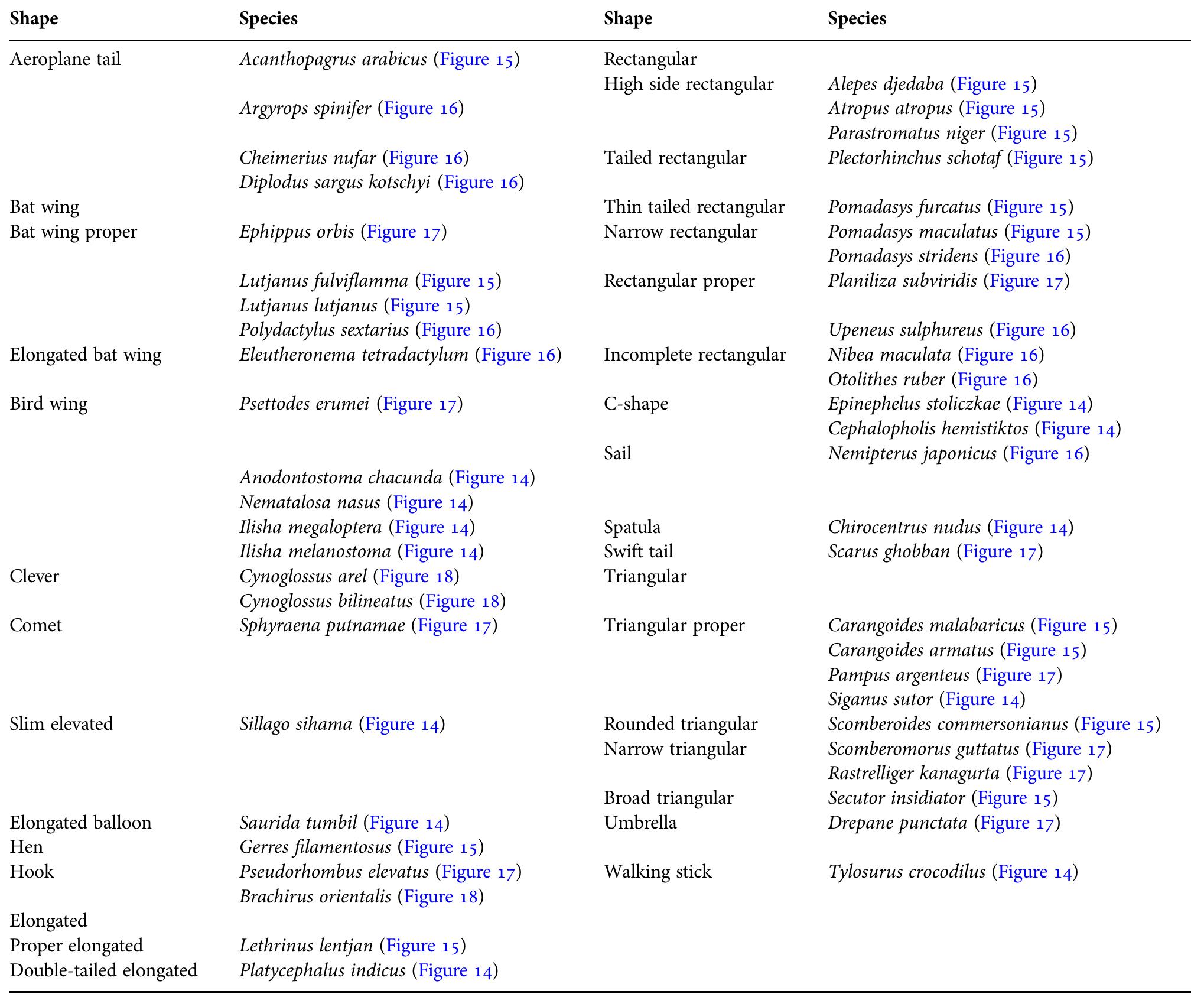 (PDF) Comparative morphology of the urohyal bone of fishes collected ...