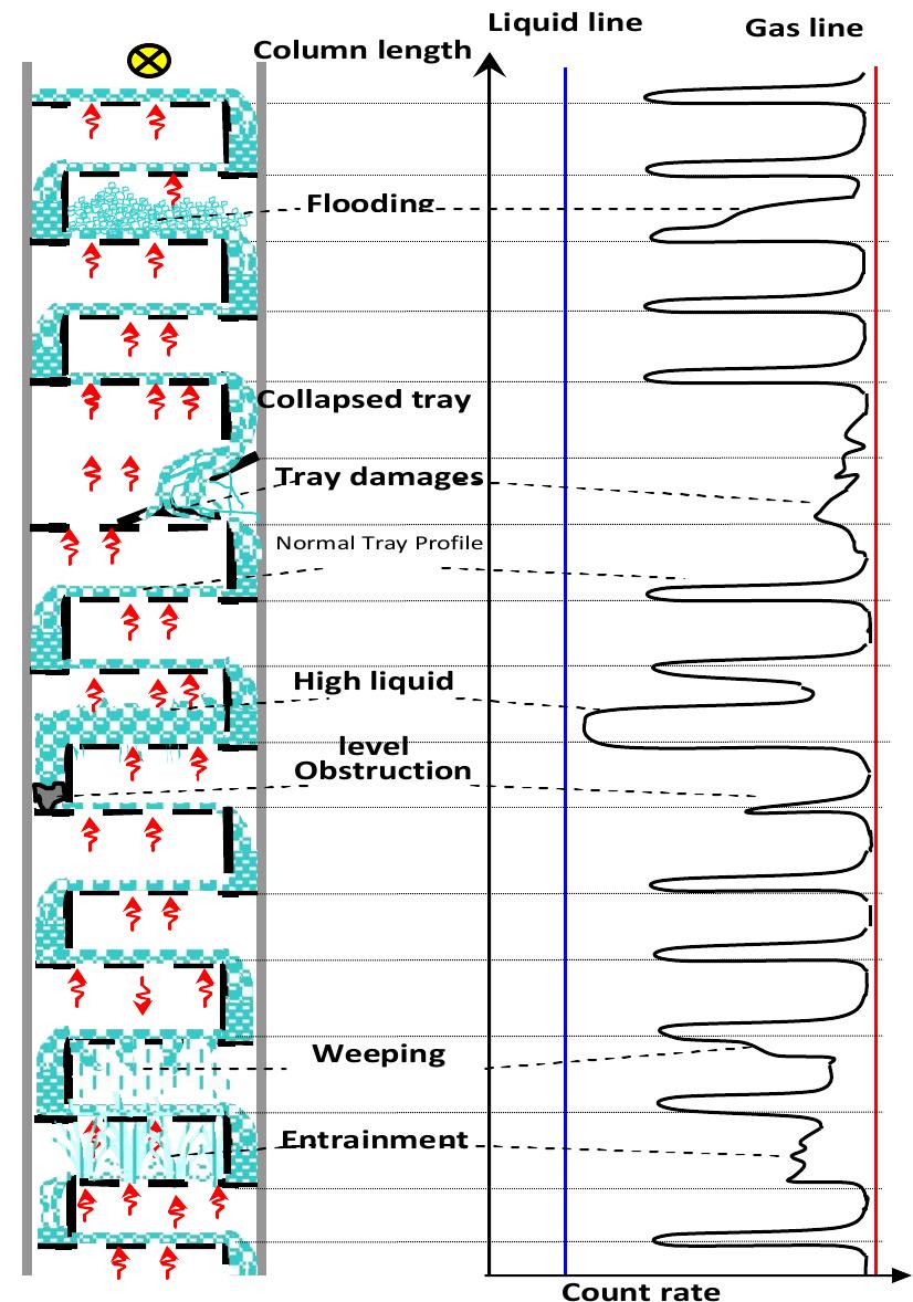 Sample diagnosis patterns obtained by gamma column scanner