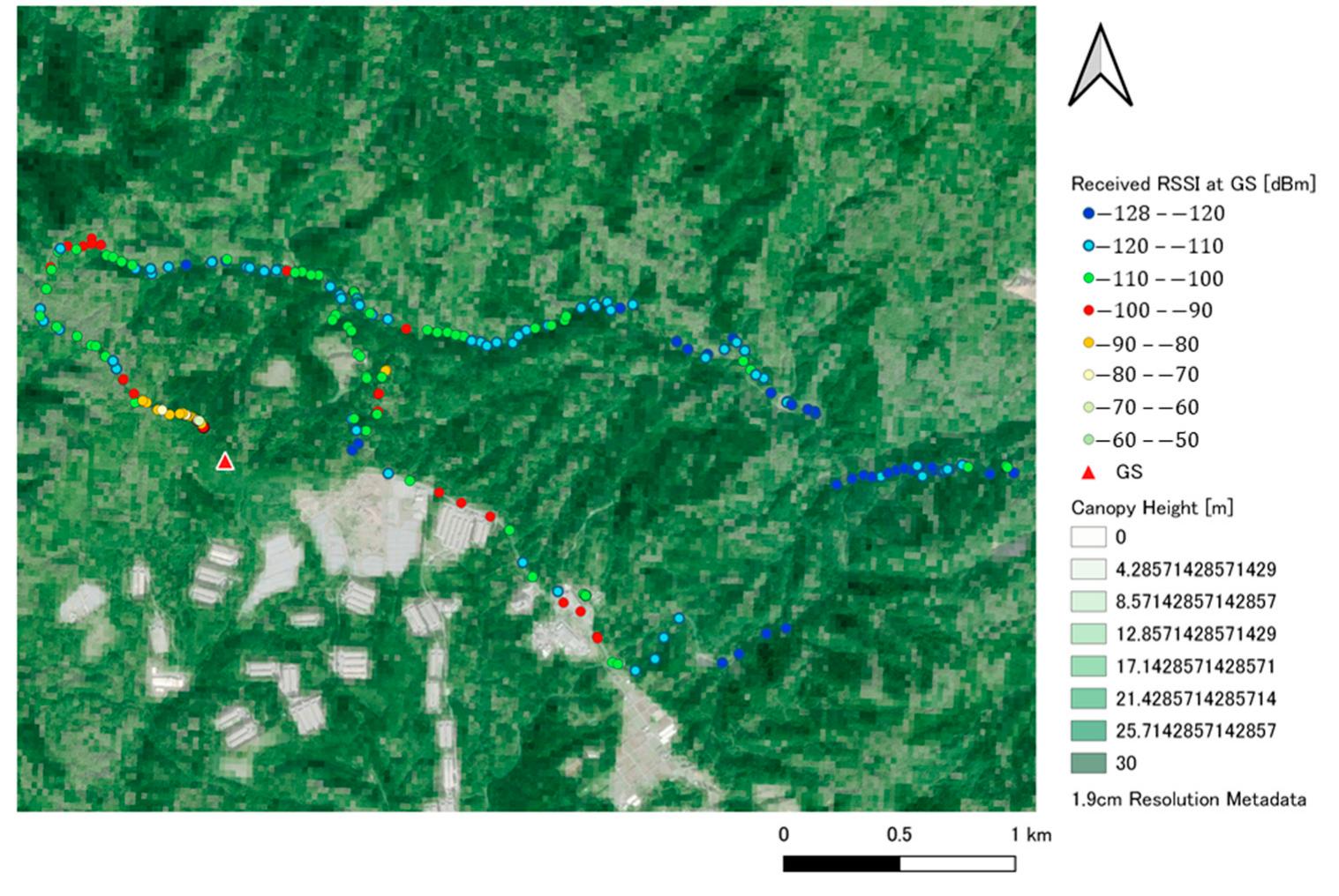 Forest canopy height map.