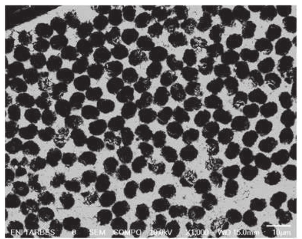Photomicrograph of cross section of composite sheet: