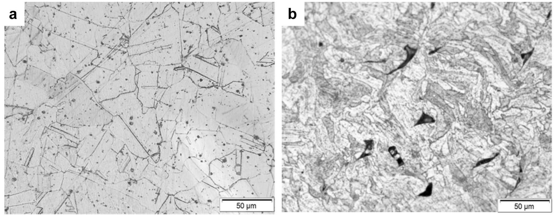 Optical images of the starting microstructure of a machined
