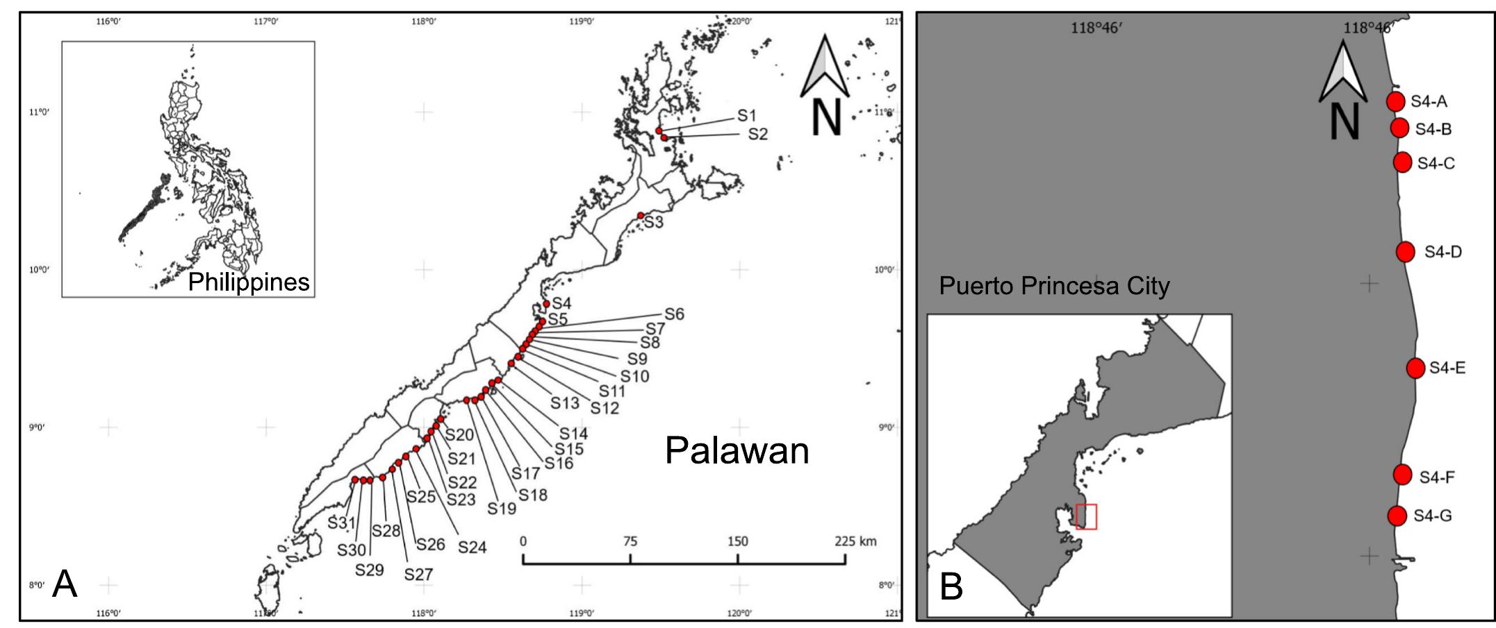 (a) map of palawan, philippines showing the sampling sites;
