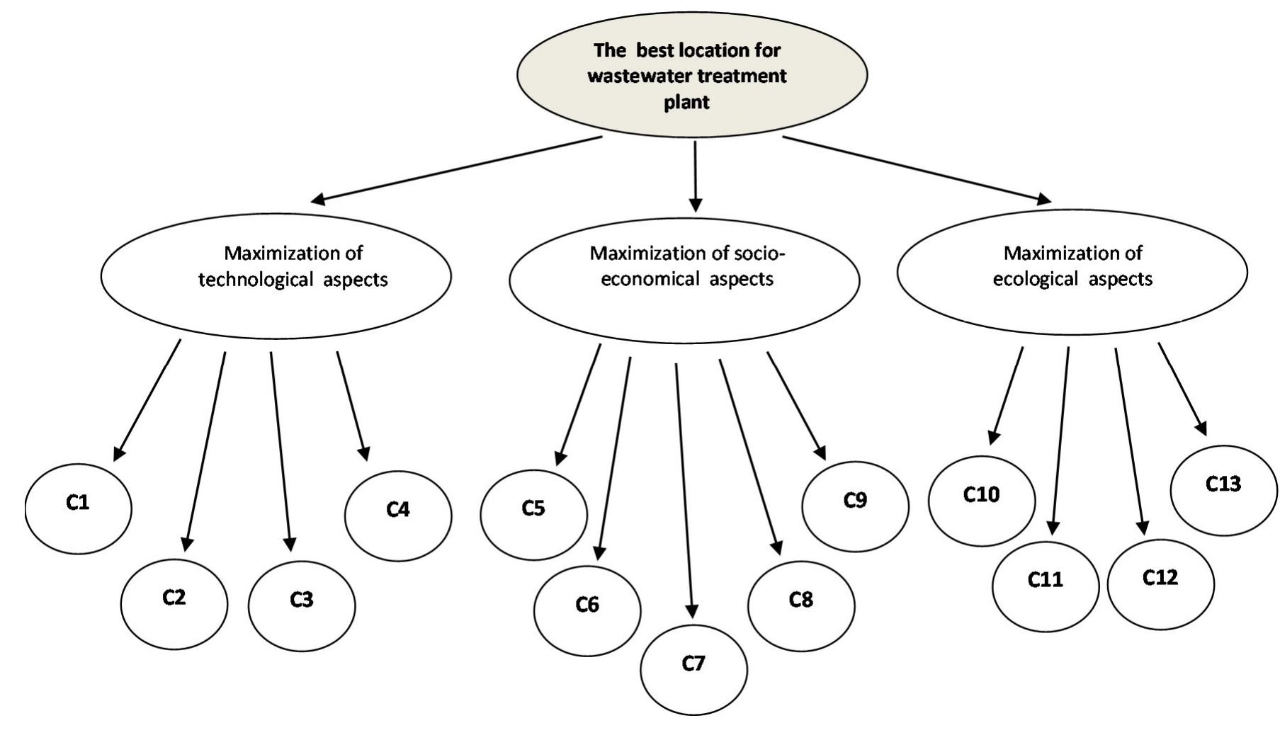 Hierarchical structure of goals and criteria. the first
