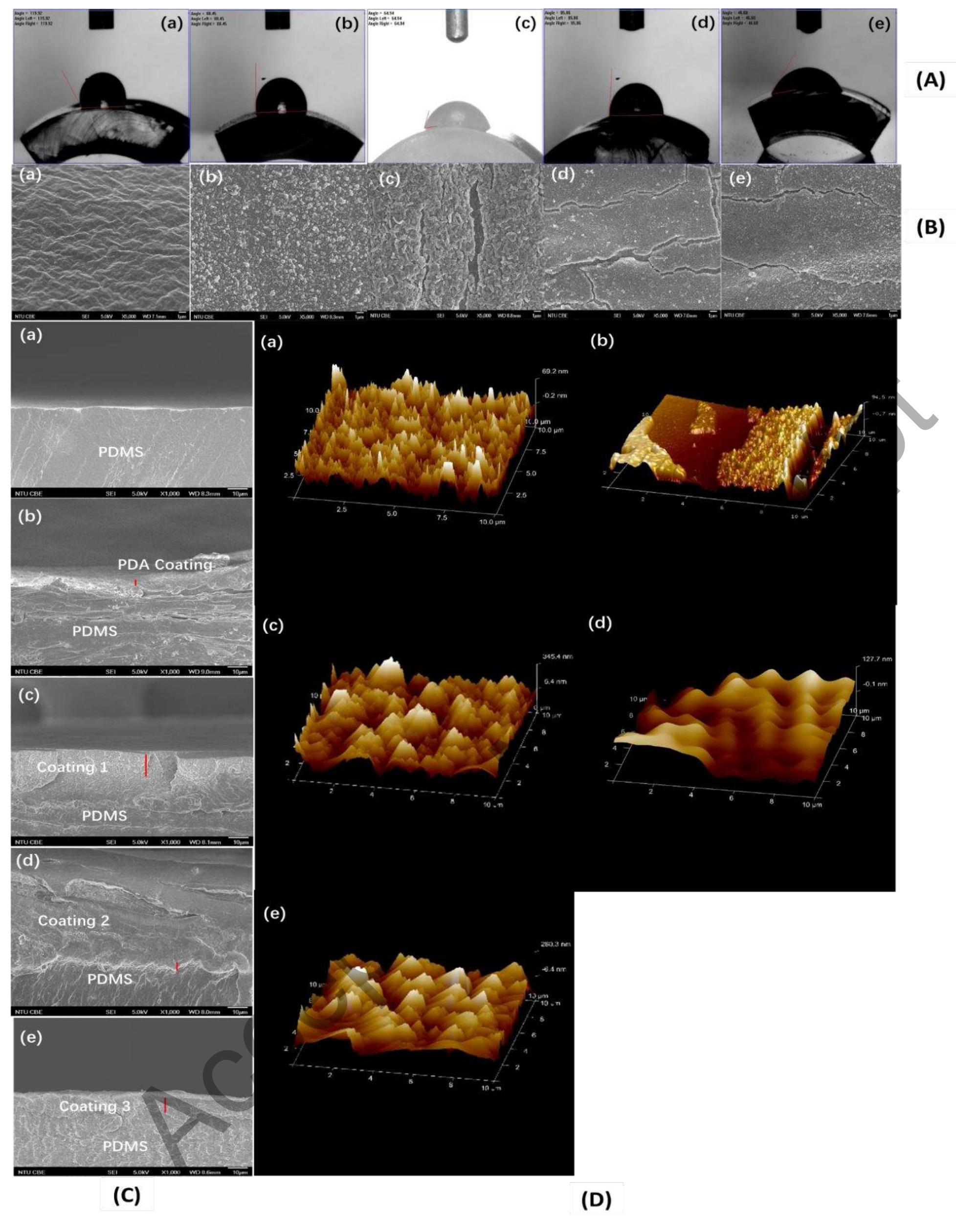 (a) contact angle, (b) fe-sem morphology (top view), (c)