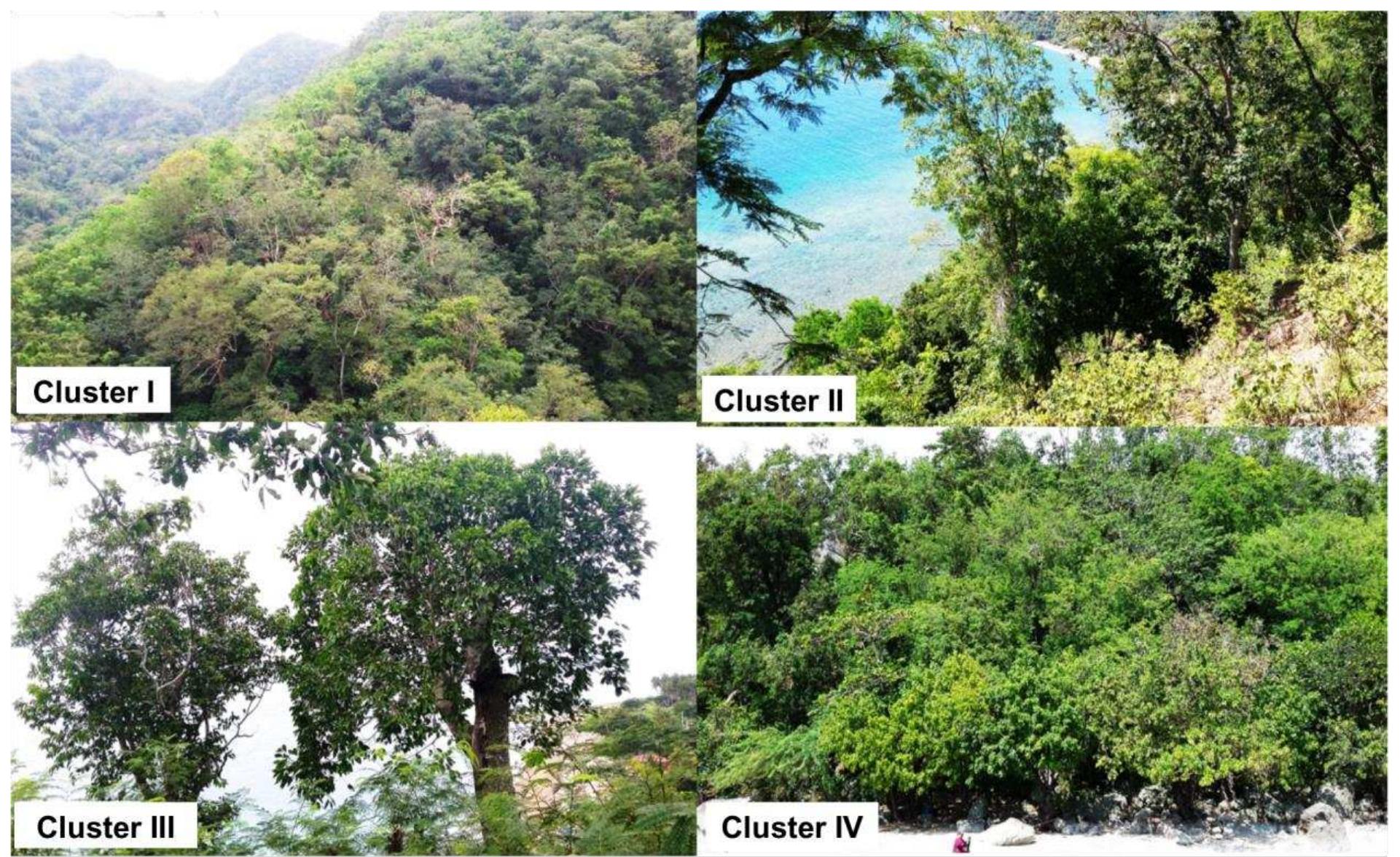 Photographs of four clusters (zones) of woody plants in the