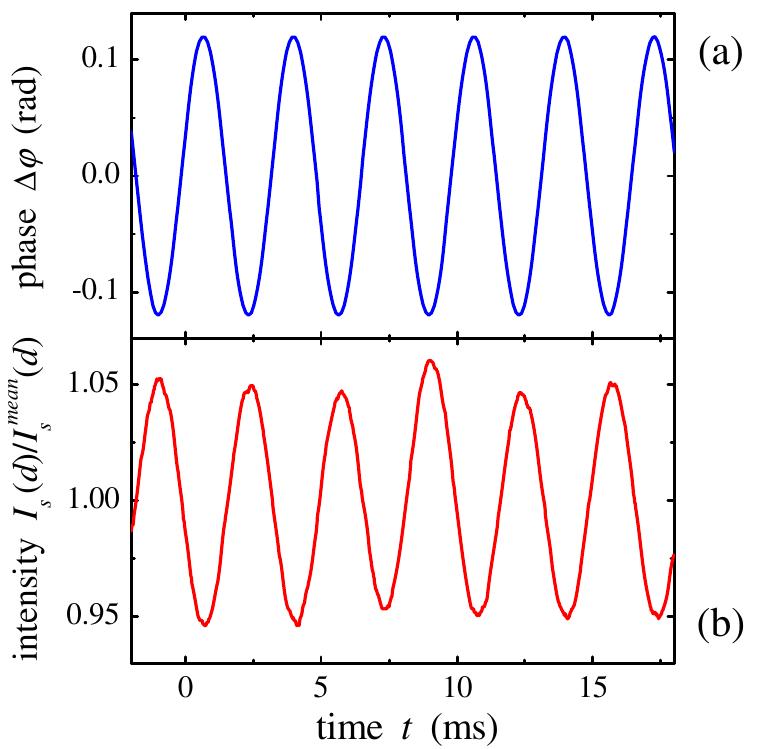 (a) phase modulation a¢ of the input signal beam /,(0) and