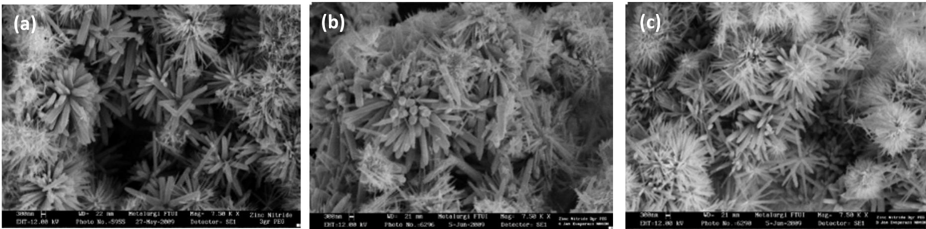 Gambar 3. foto sem nanorod zno hasil reaksi sol-gel