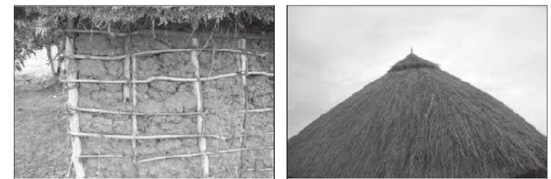 Wall and roof of a grass-thatched luo traditional house