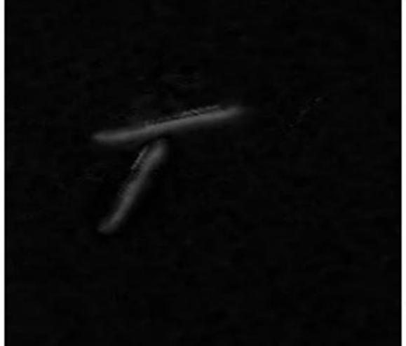 Figure 7 Intruder Detection System Using Image Processing