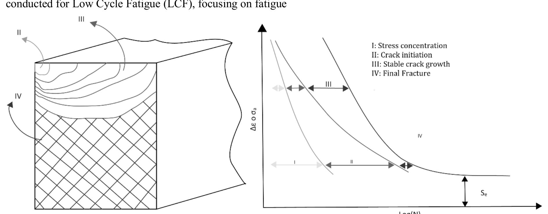 Stages of fatigue failure in a common steel. adapted from