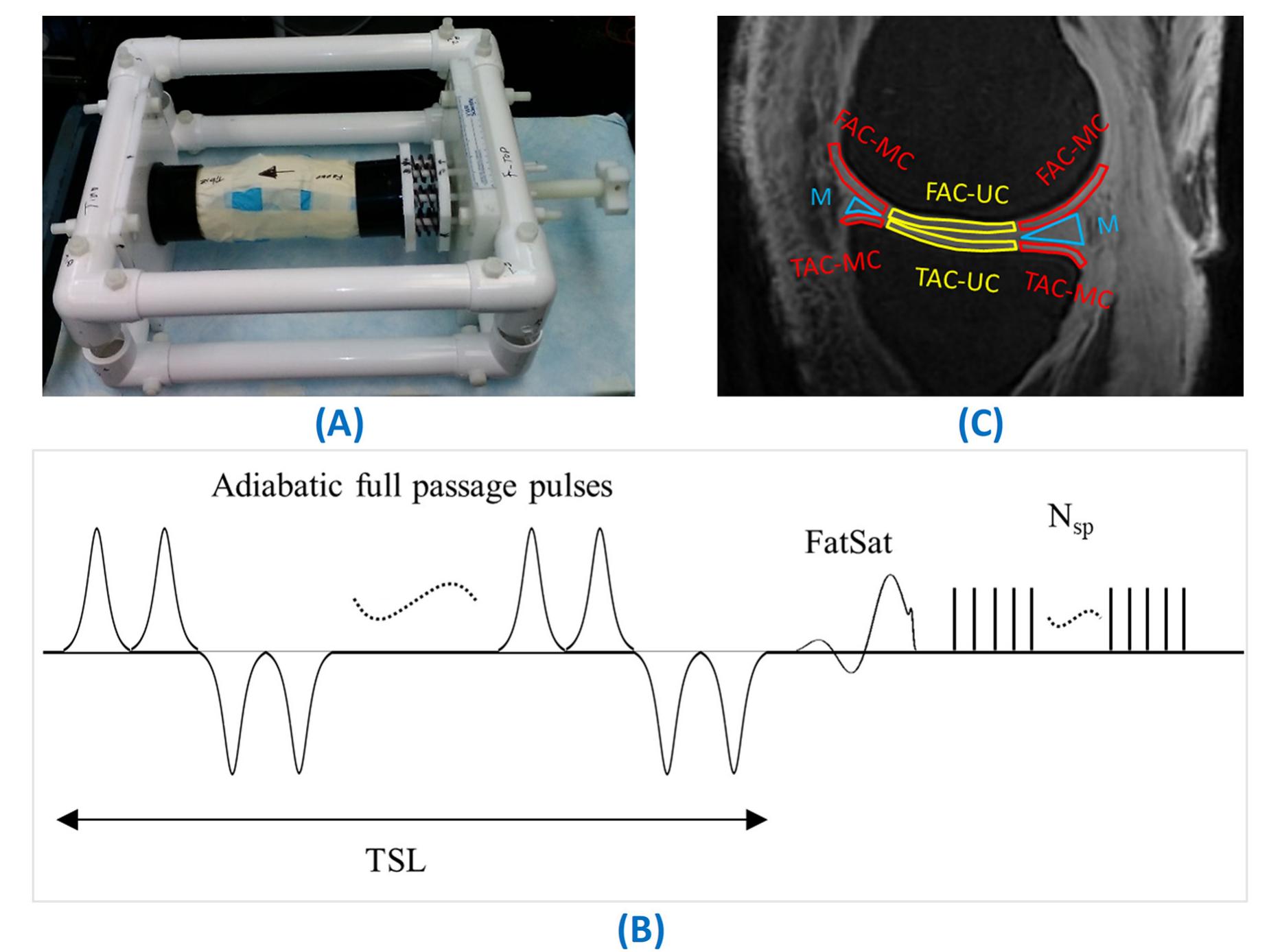 (a) designed and fabricated mri-compatible loading device