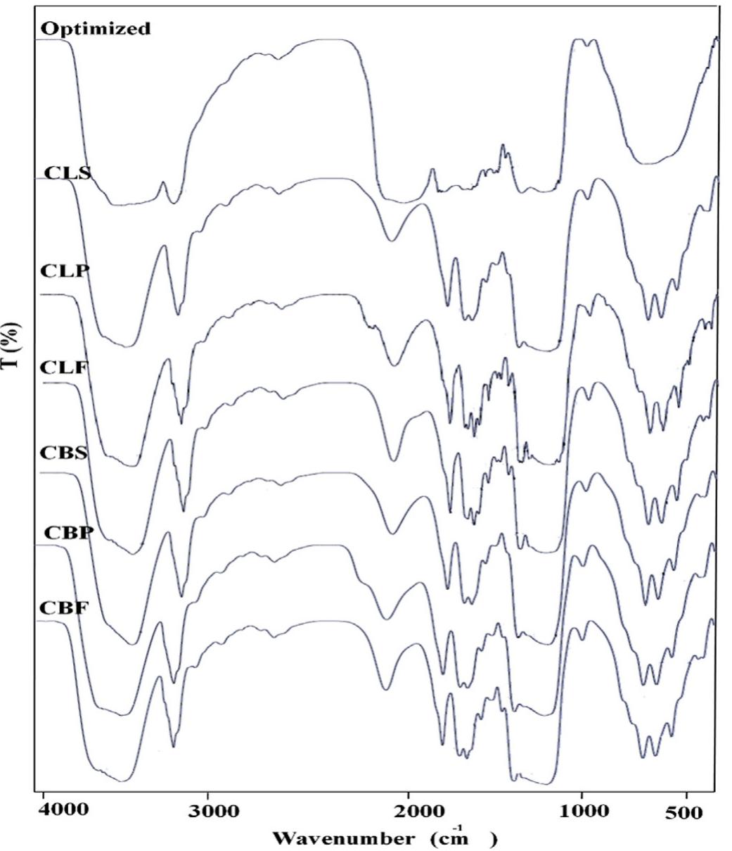 Ft-ir spectra of bcfs containing probiotic bacteria;