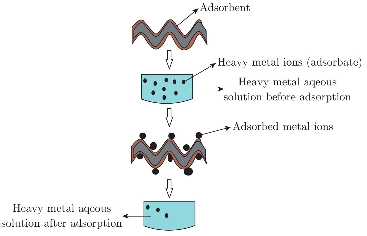 Schematic representation of adsorption at solid/liquid