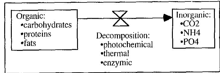 Conceptual model of processes responsible for litter decay.
