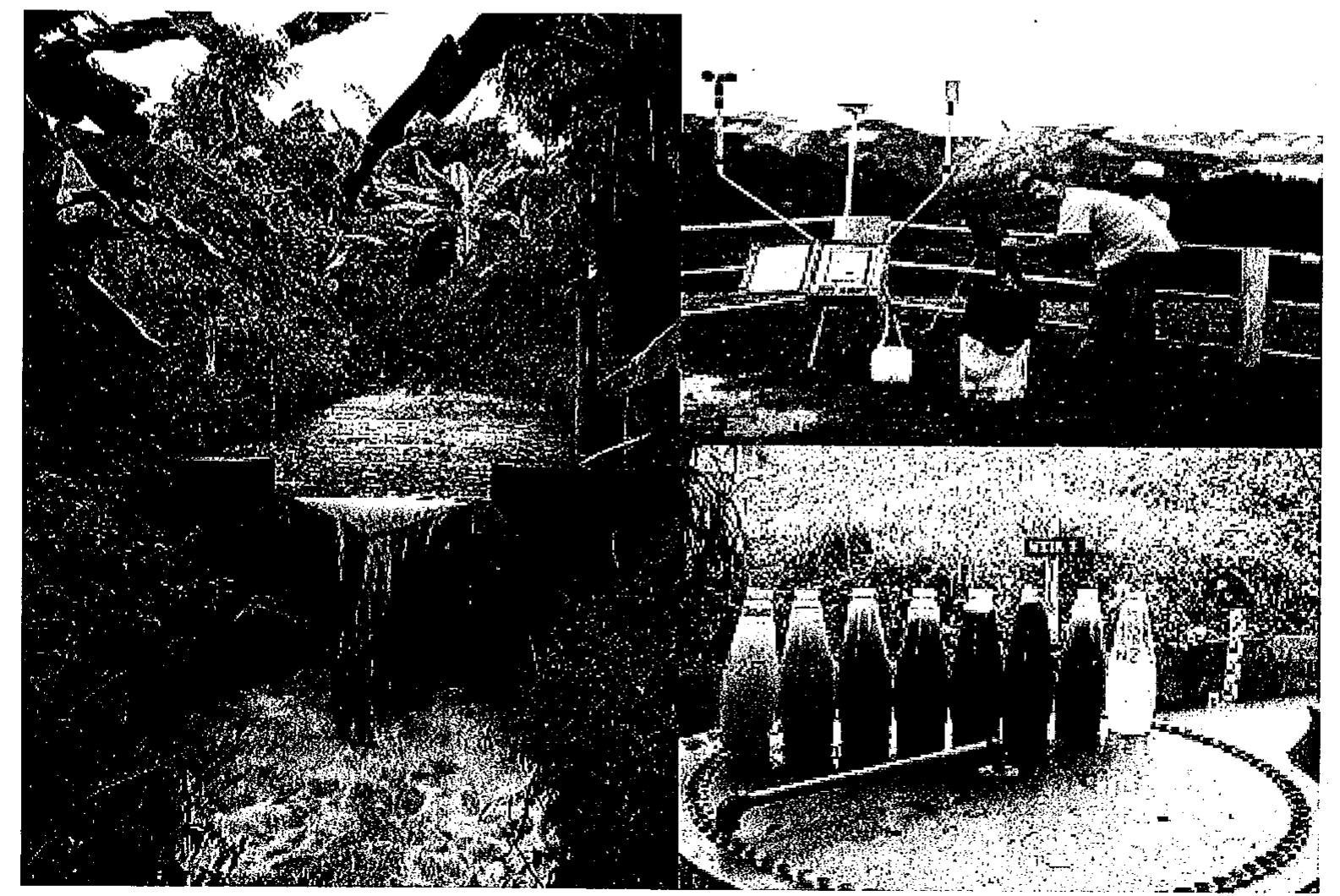 , sediment traps, automatic water sampler, and weather