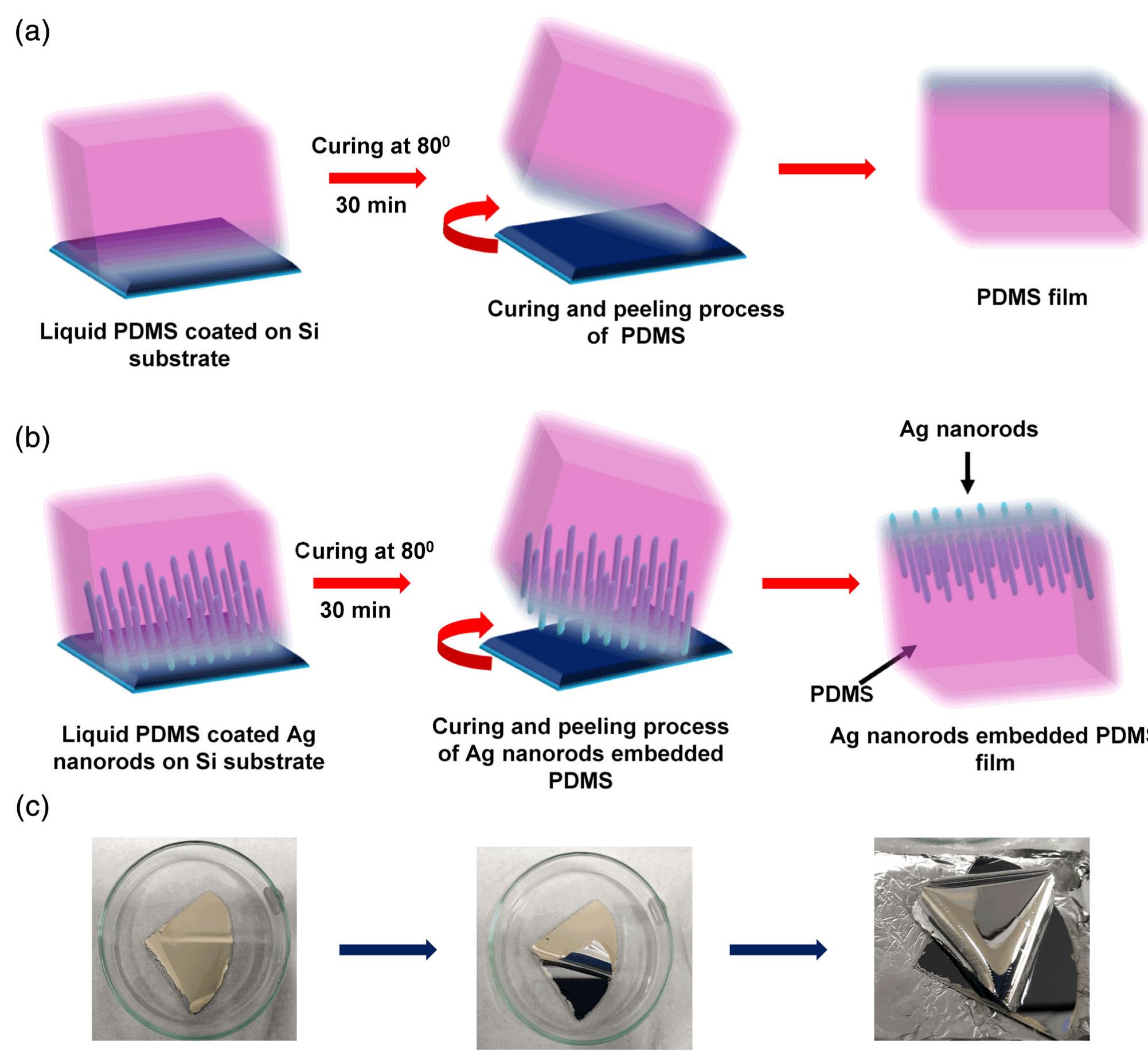 _ schematic showing the steps of fabrication (a) pdms film