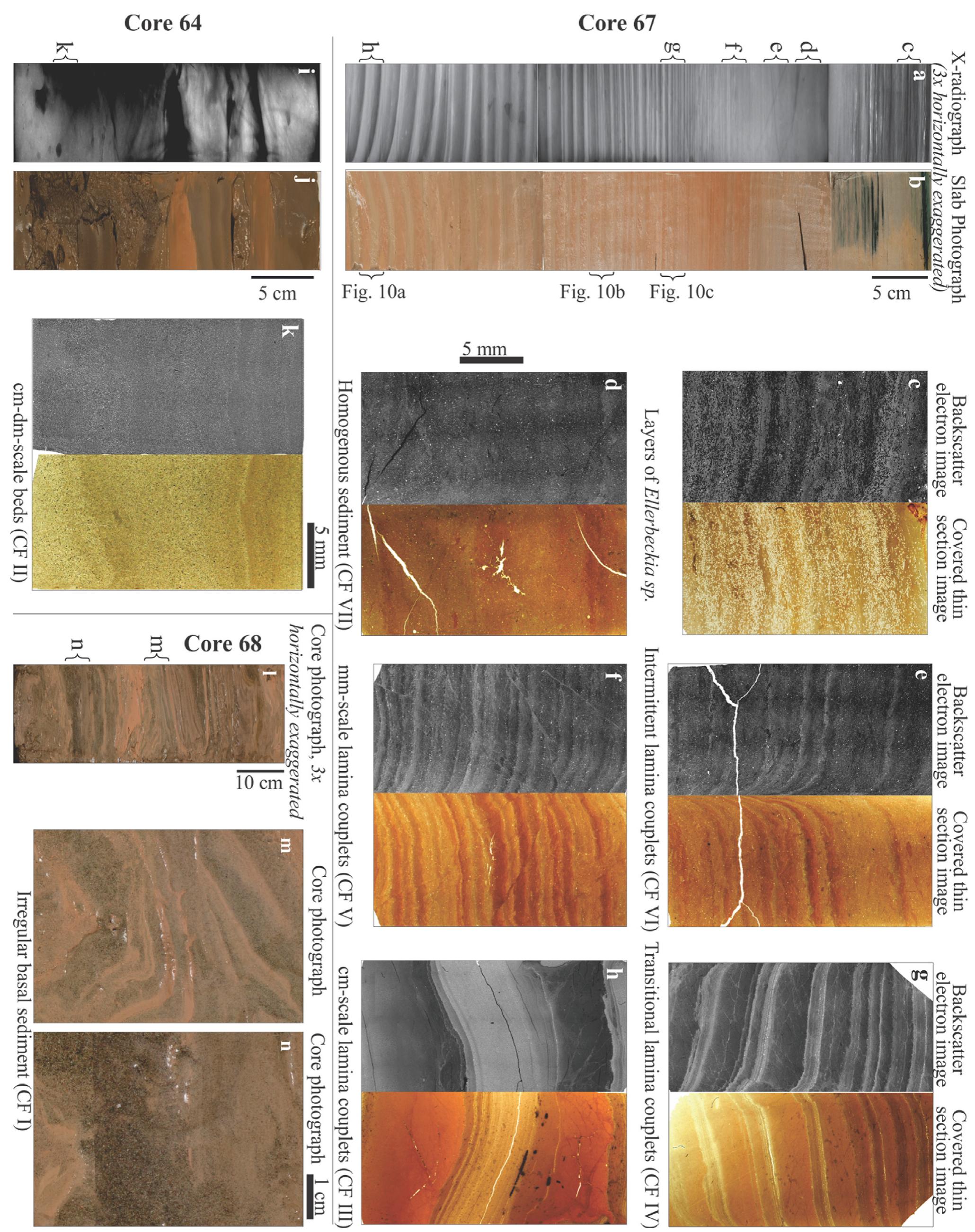 Summary of major sediment types. a) x-radiographs of core