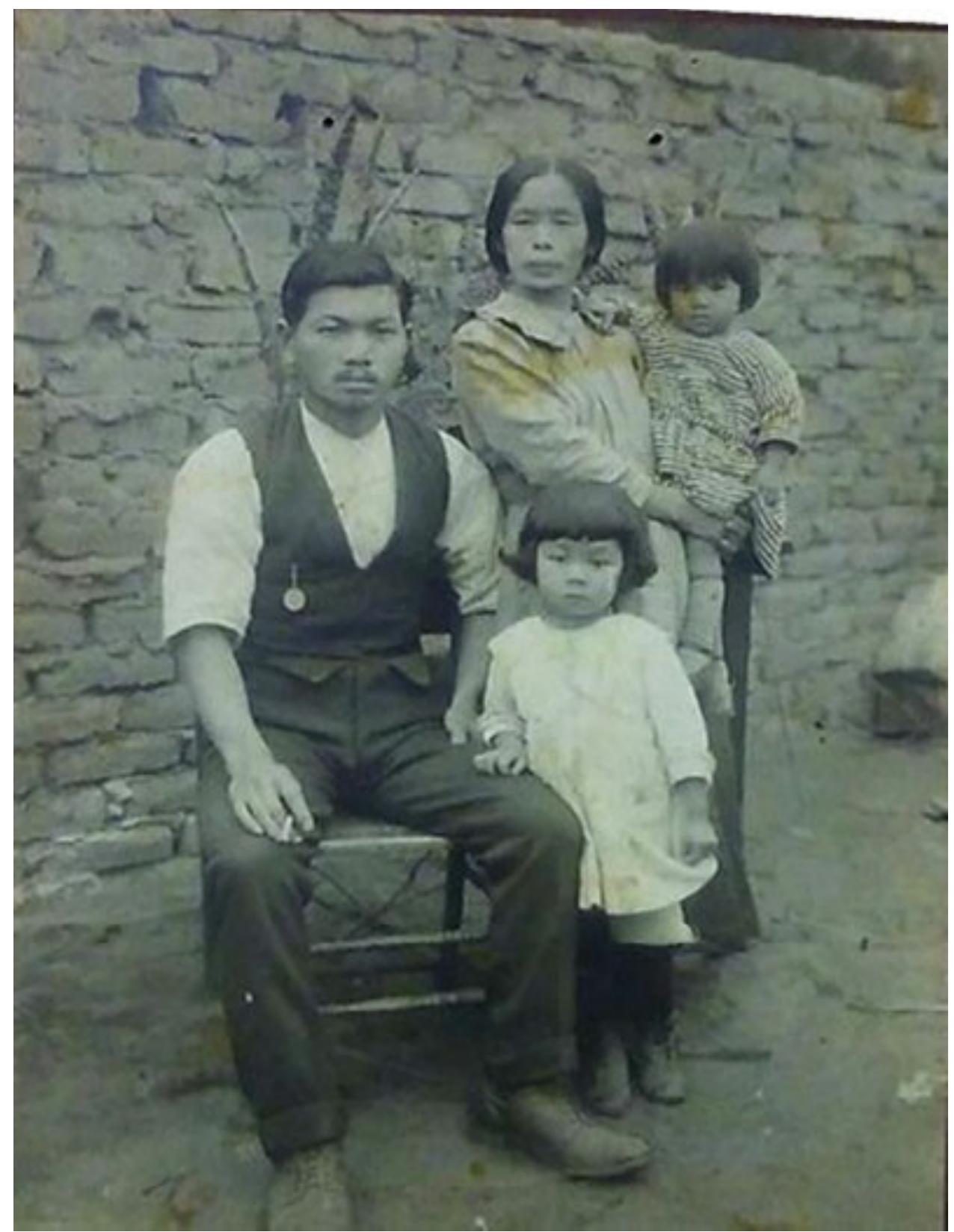 (PDF) Japanese in Peru