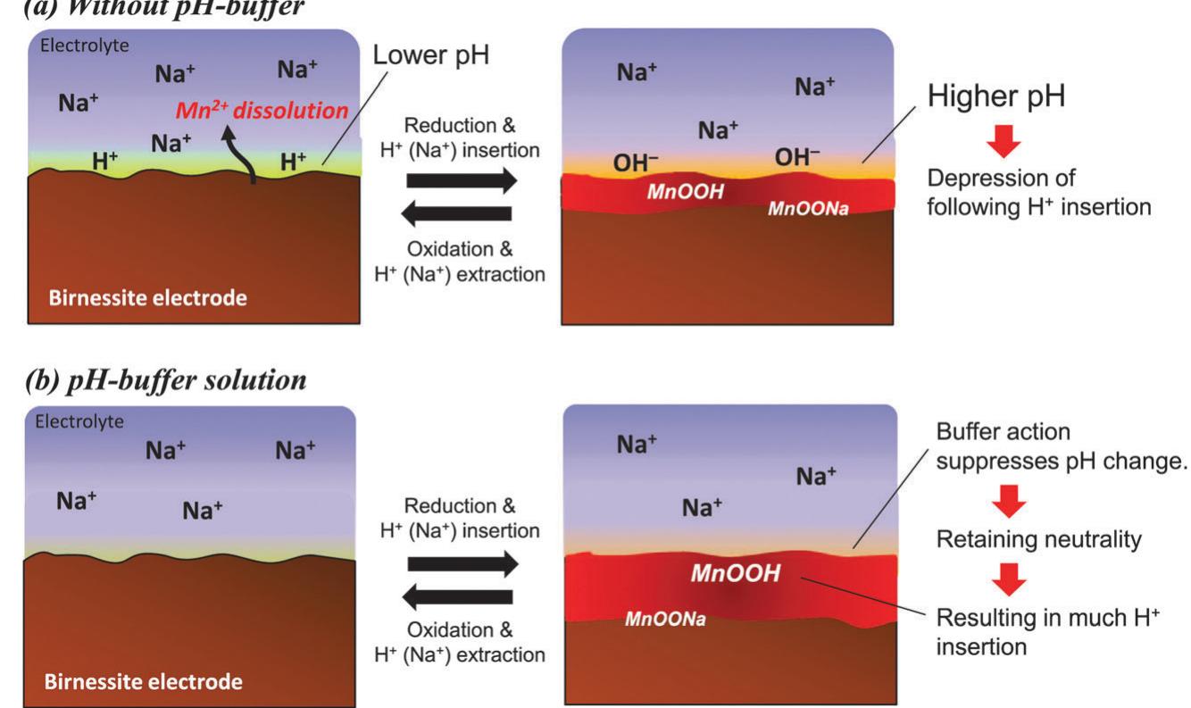 Schematic illustration of electrode/electrolyte structure in