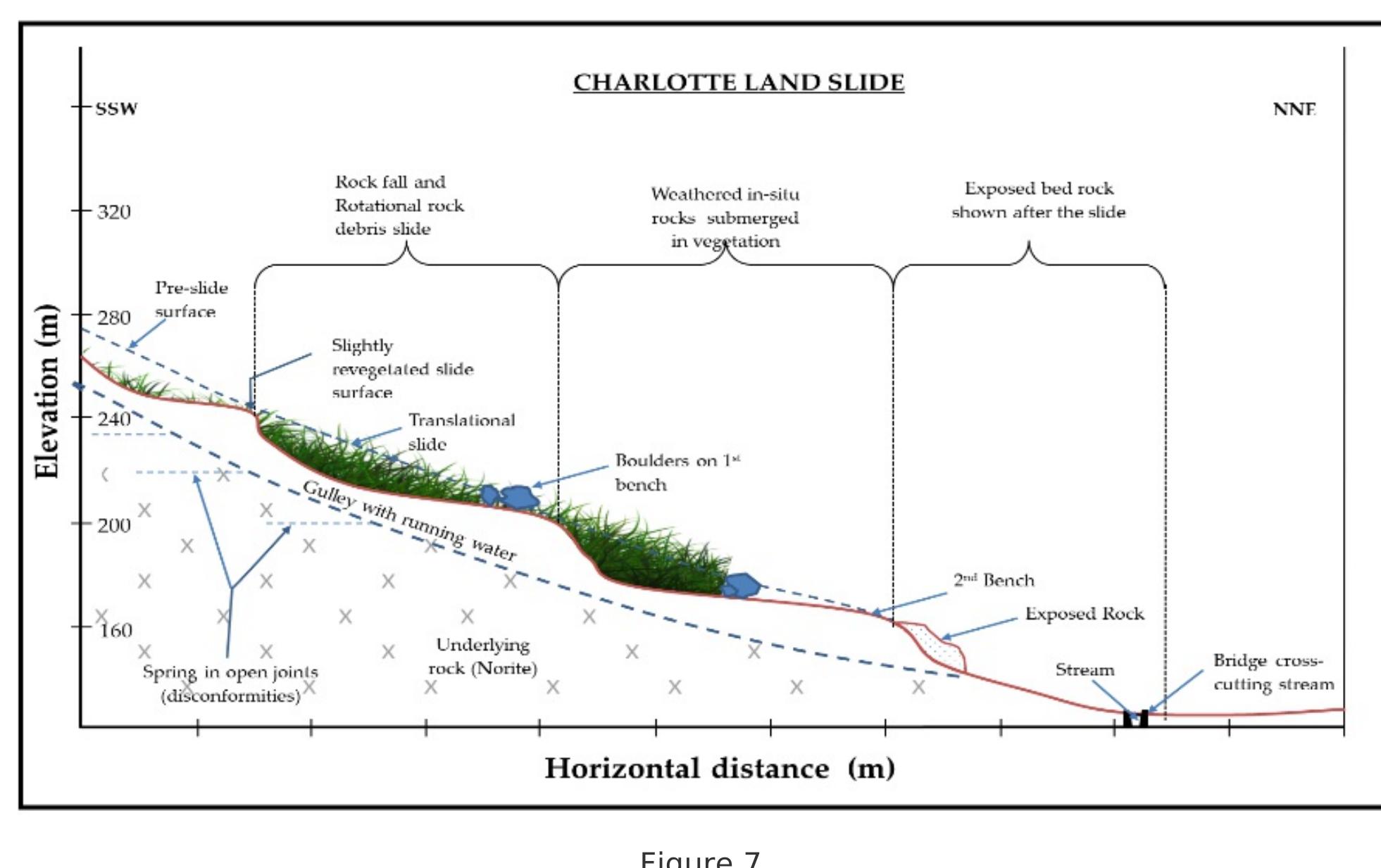Schematic section showing the morphology, lithology and