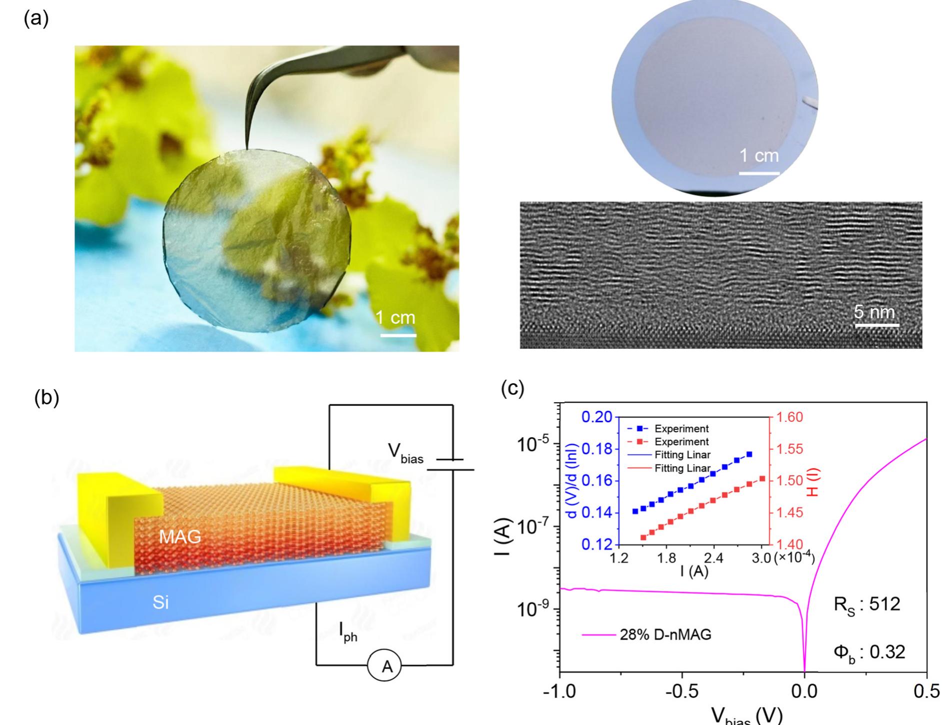 Characterization of d-nmag/si photodetector. (a) the photo