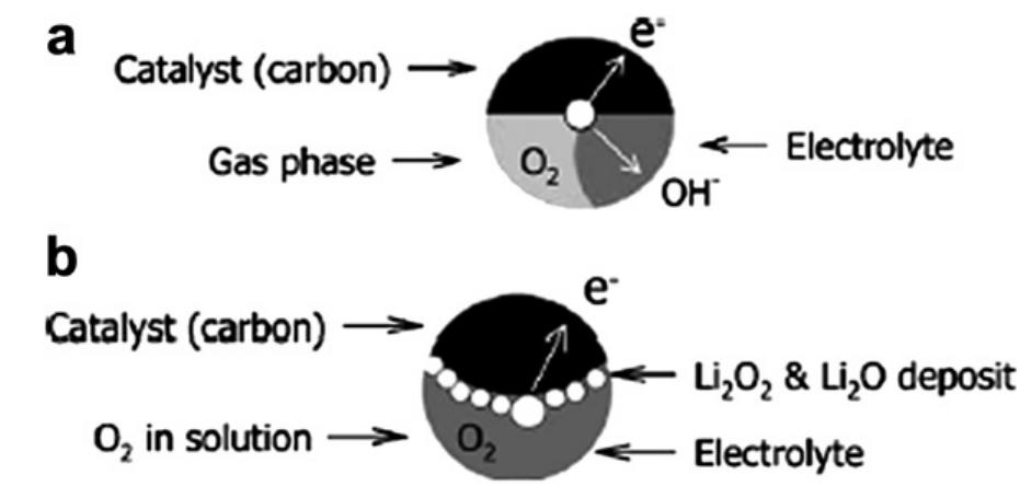 Models of the reaction zones for catalytic orr. (a) aqueous