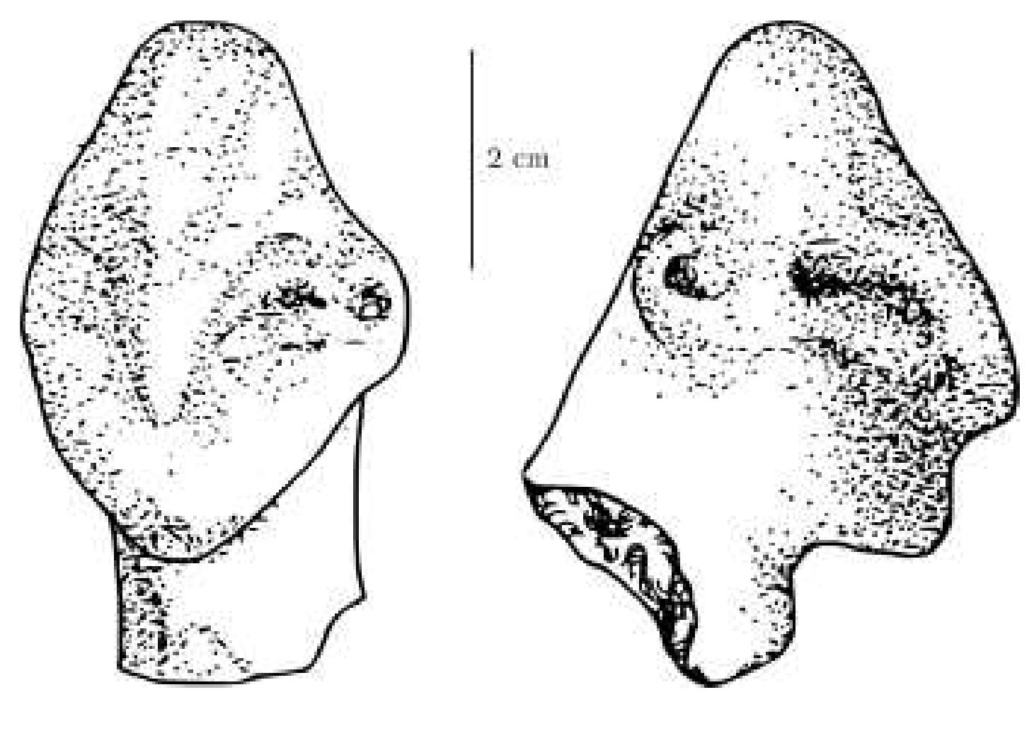 (above). clay deformed head from paradeisos, ln (after